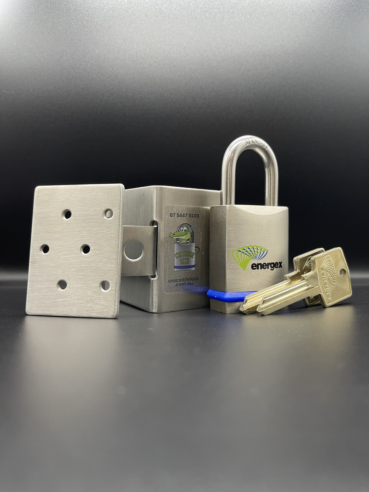Energex Ultimate Clasp Kit: Includes SS Clasp (Single Door ...